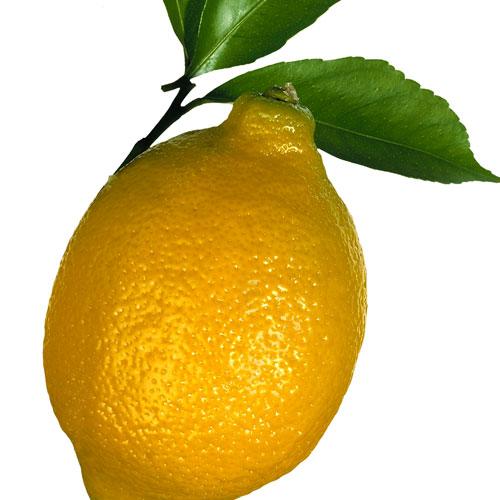 Yoghurtsås med citron eller lime - Hemmets Journal