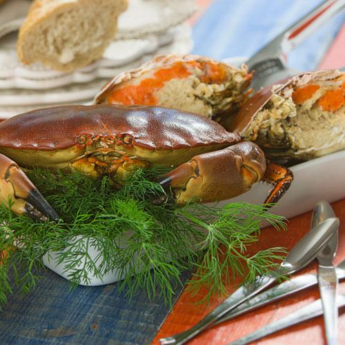 Färsk krabba med stark hovmästarsås - Hemmets Journal