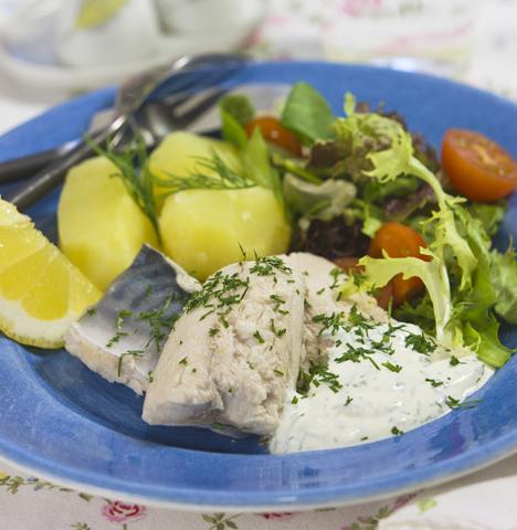 Inkokt makrill med dillsås - Hemmets Journal