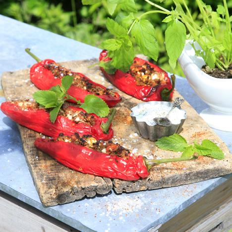 Lammfärsfylld spetspaprika med tzatziki - Hemmets Journal