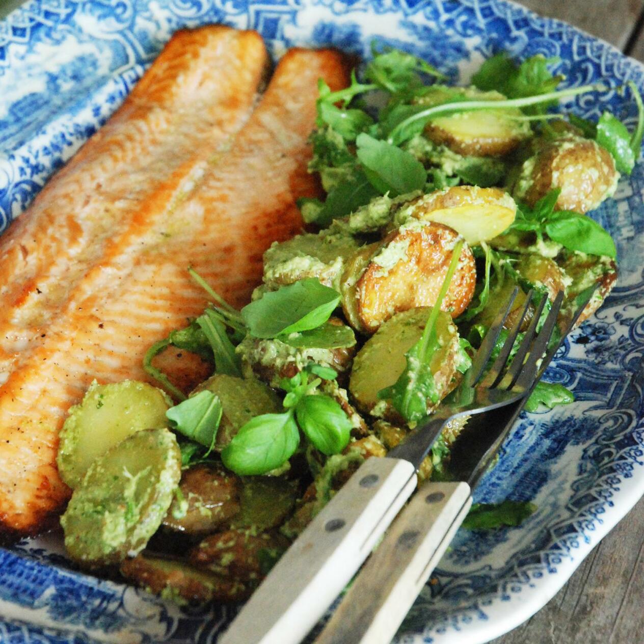 Rostad potatis med hasselnötspesto - Hemmets Journal