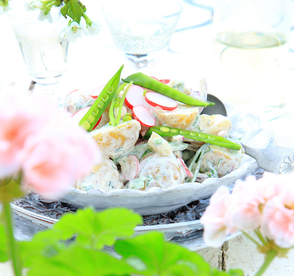 Färskpotatissallad med primörer - Hemmets Journal