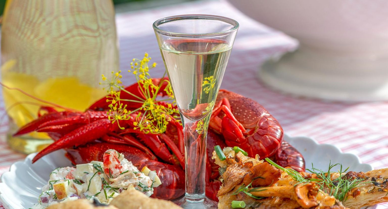 Hemgjord snaps med citron och dill - Hemmets Journal