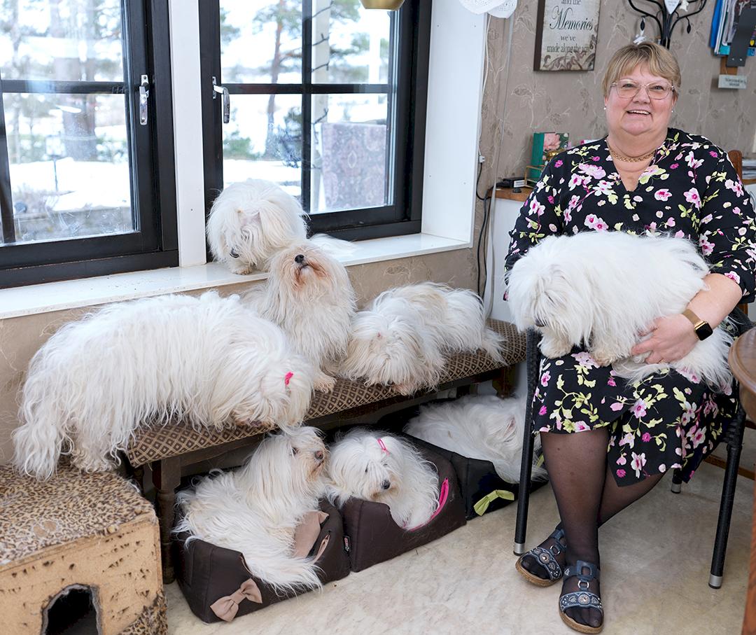 Vännerna ryckte in när Birgittas hjärta stannade: “Utan dem hade jag ...