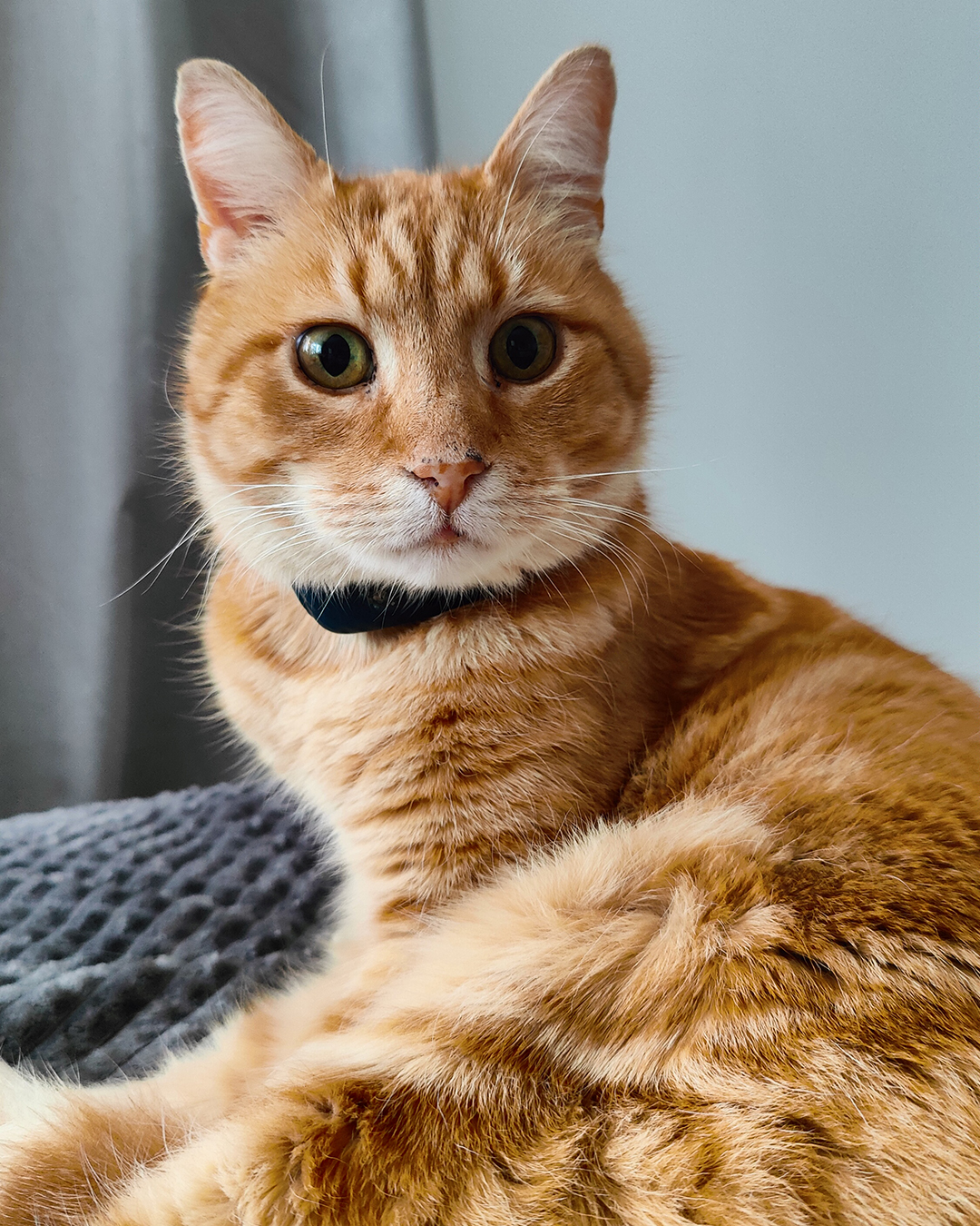 Luffar-Lasse drog in miljoner till välgörenhet - Hemmets Journal