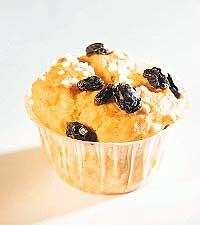 Snabba katten - Icakuriren