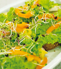 Ljummen ostmacka med brie, paprika och böngroddar - Icakuriren