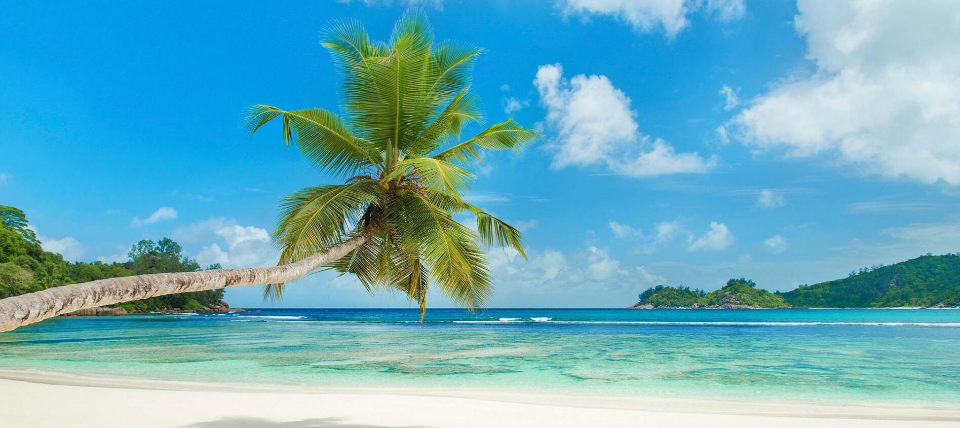 Seychellerna - en guide till paradiset - Icakuriren