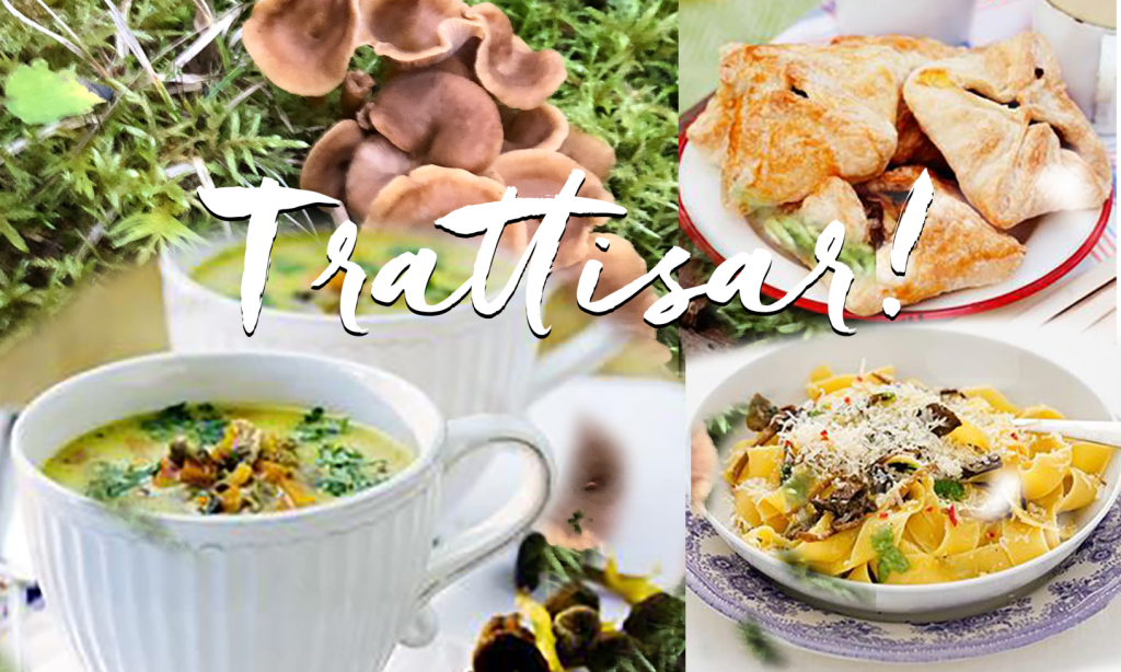 Trattkantareller: Tre succégoda recept! - Icakuriren