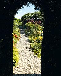 Från sankmark till drömträdgård - Icakuriren