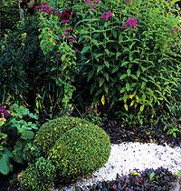 Från sankmark till drömträdgård - Icakuriren