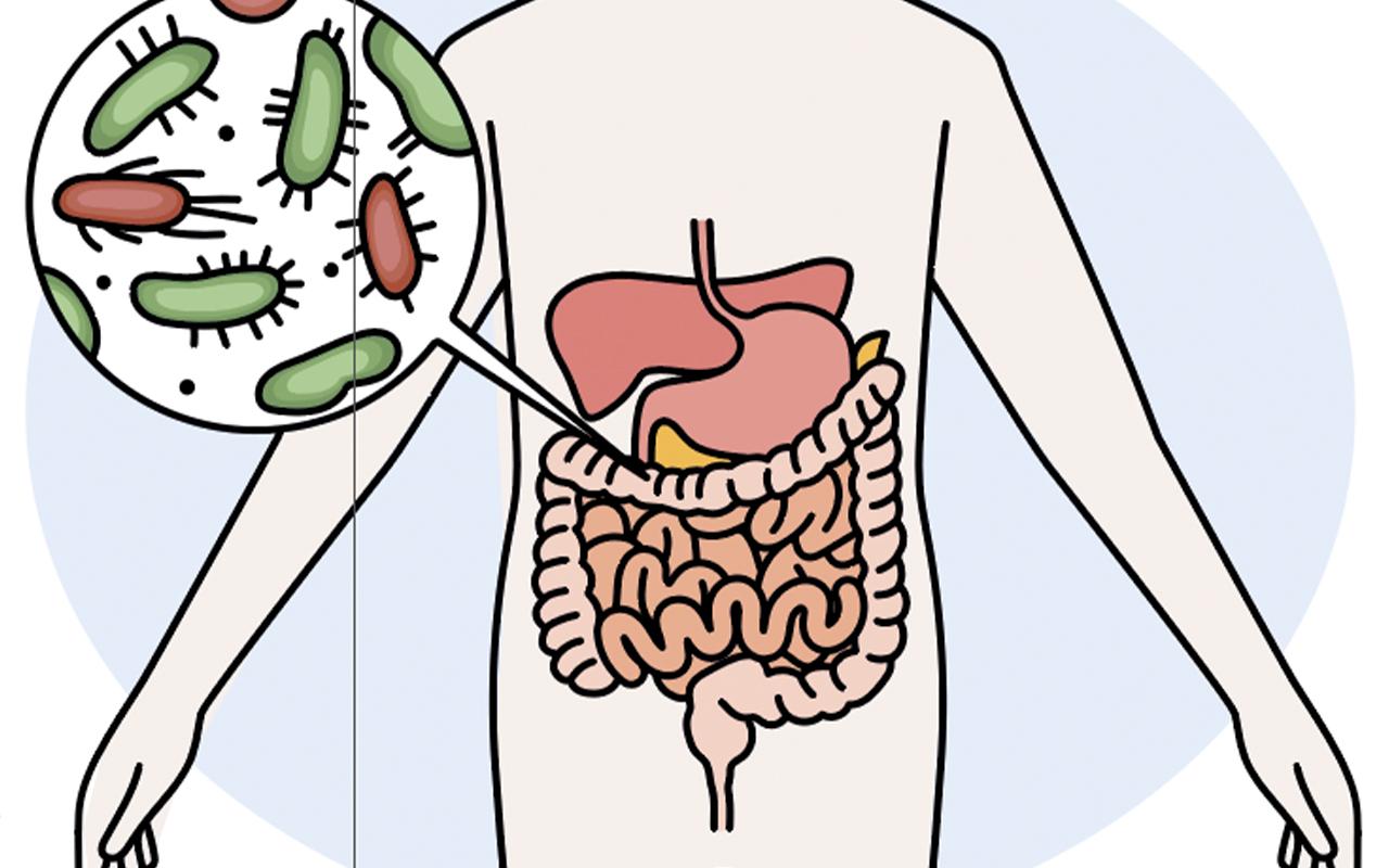 Här är superbakterierna som håller oss friska - Icakuriren
