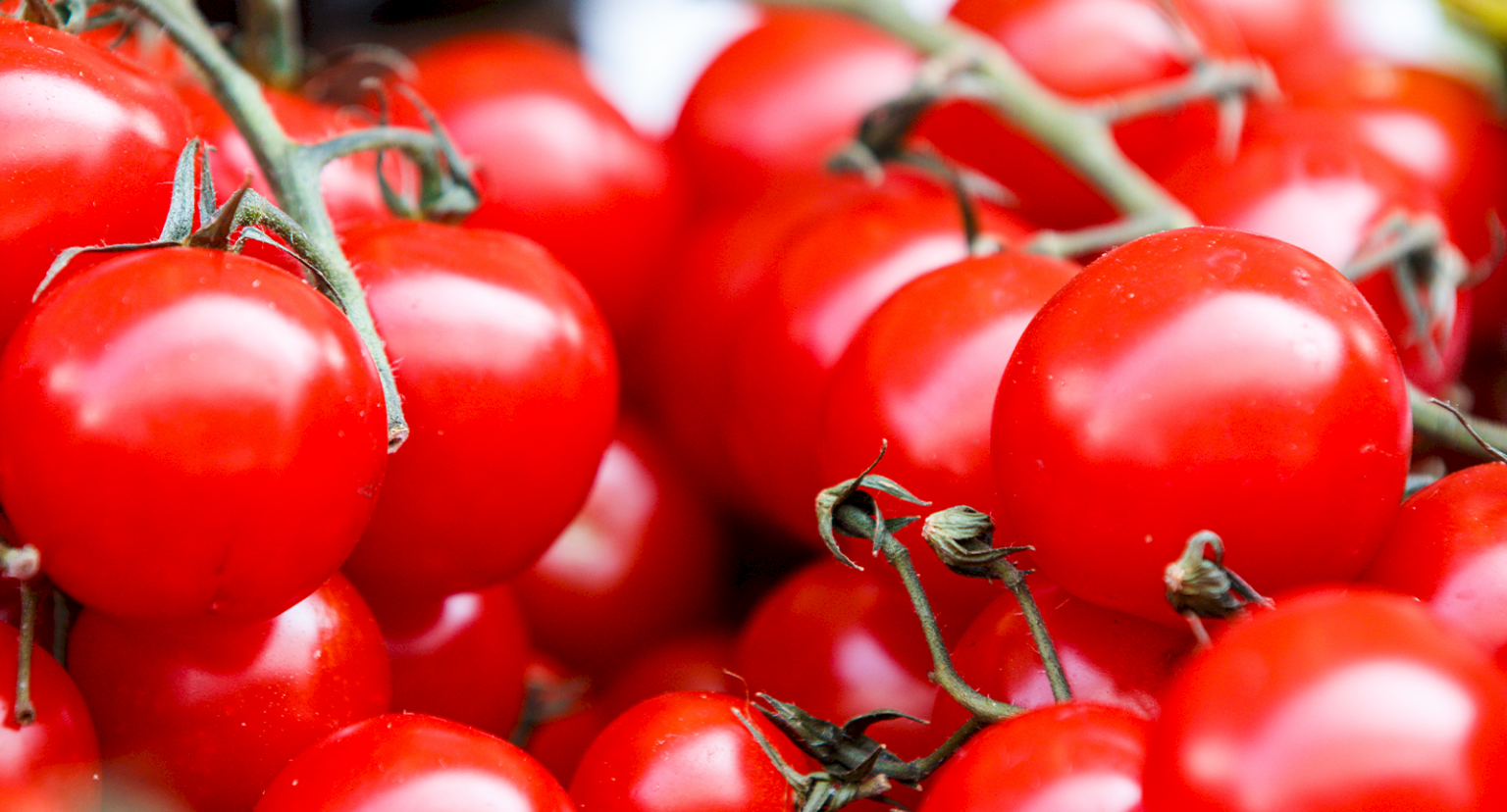 Bäst i test: Godaste krossade tomaterna – och de som smakar sämst
