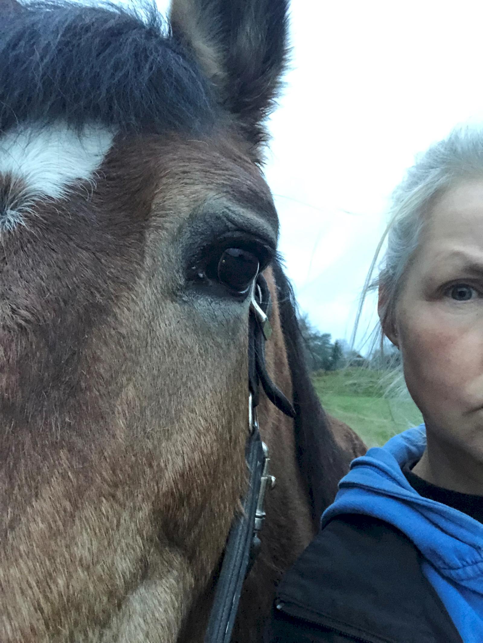 Tova Magnusson: ”Pappa ville ta med oss på ett skepp och missionera för ...